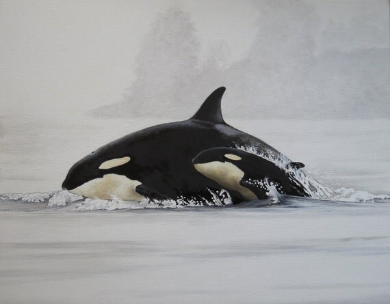 original oil painting Orca killer whale by JanGordonBrownArt