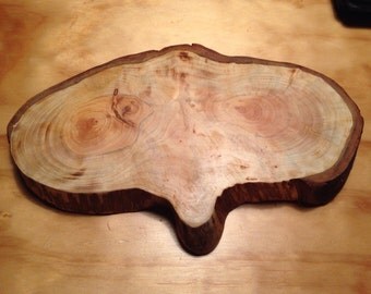 Rustic hand made wooden log double coaster