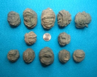 Oklahoma rose rock | Etsy