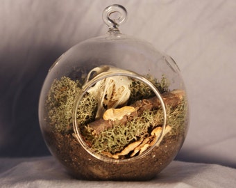 Unique dead bunny related items | Etsy