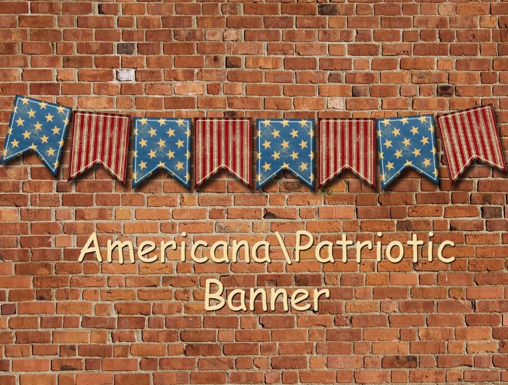 RuSTIC PaTriOtiC Americana Banner PRiMiTiVe Flags