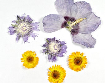 Unique pressed flower art related items | Etsy