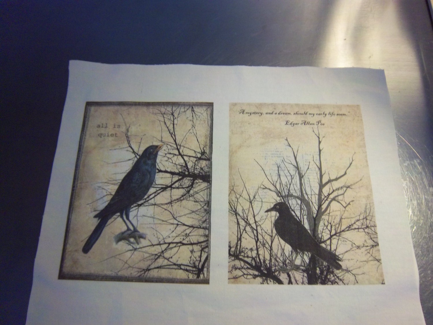 Crow fabric patches raven fabric panel 2 quilt squares bird