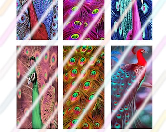 Peacock collage | Etsy