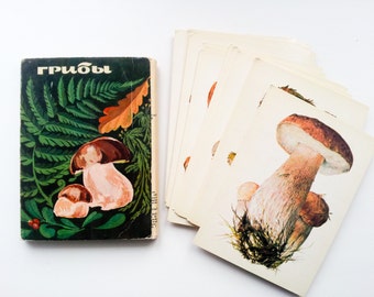 Old Russian postcards prints books and vintage by SovietPostcards