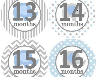Baby Monthly Milestone Growth Stickers Pink by GinaMarieOriginals