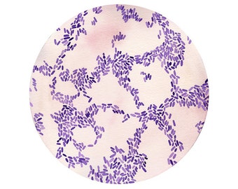 Bacillus 7 Science art science print science bacteria art