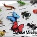 Montessori Insect Animal Match Miniature Animals with