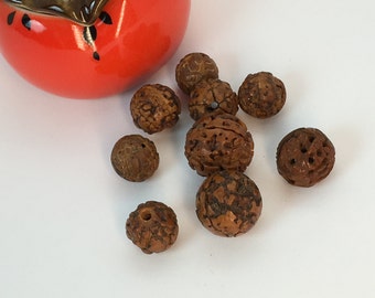 Bodhi tree seeds | Etsy