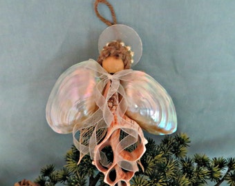 Angel wing shell | Etsy