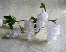 Popular items for hop flowers on Etsy