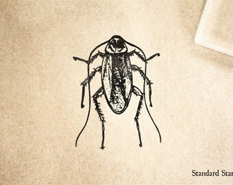 Cockroaches craft | Etsy