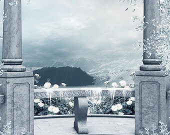 Frozen photobooth | Etsy