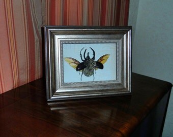 Deep shadow box | Etsy