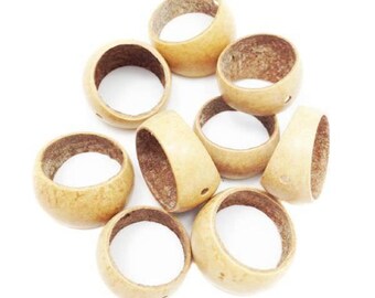 Palm tree seeds | Etsy