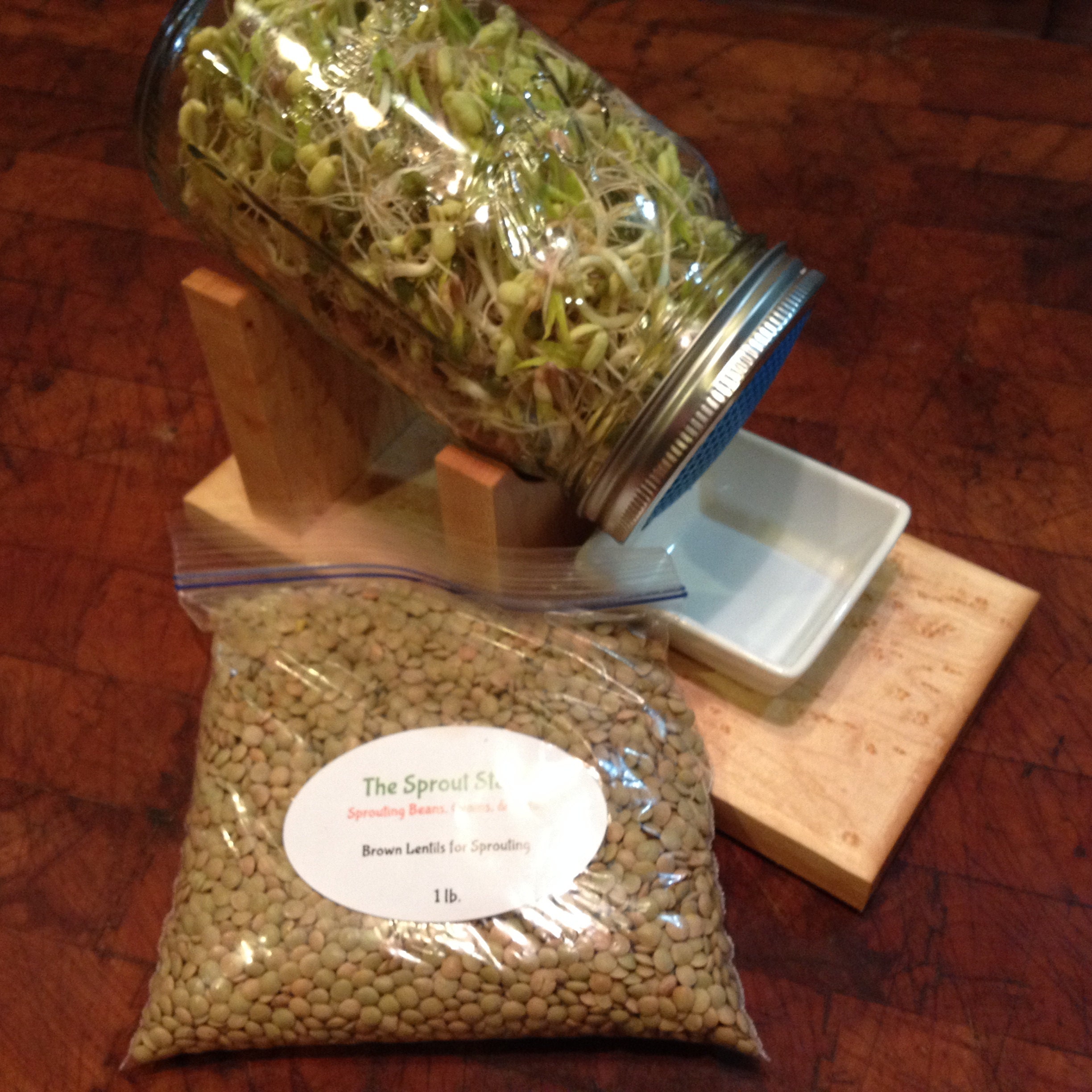Sprouting Kits for Sprouting Beans Grains & by TheSproutStand