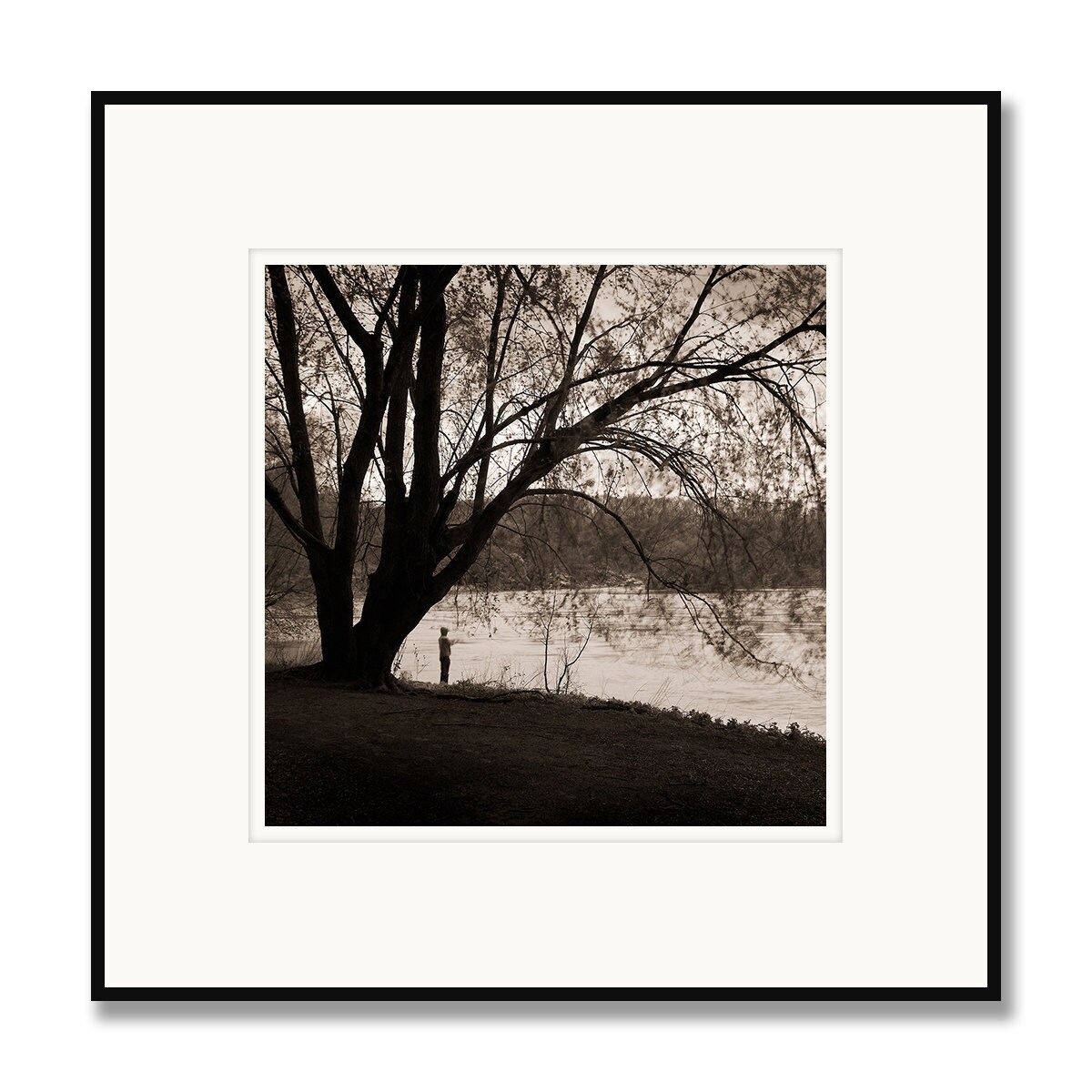 Black and white photography sepia prints landscape