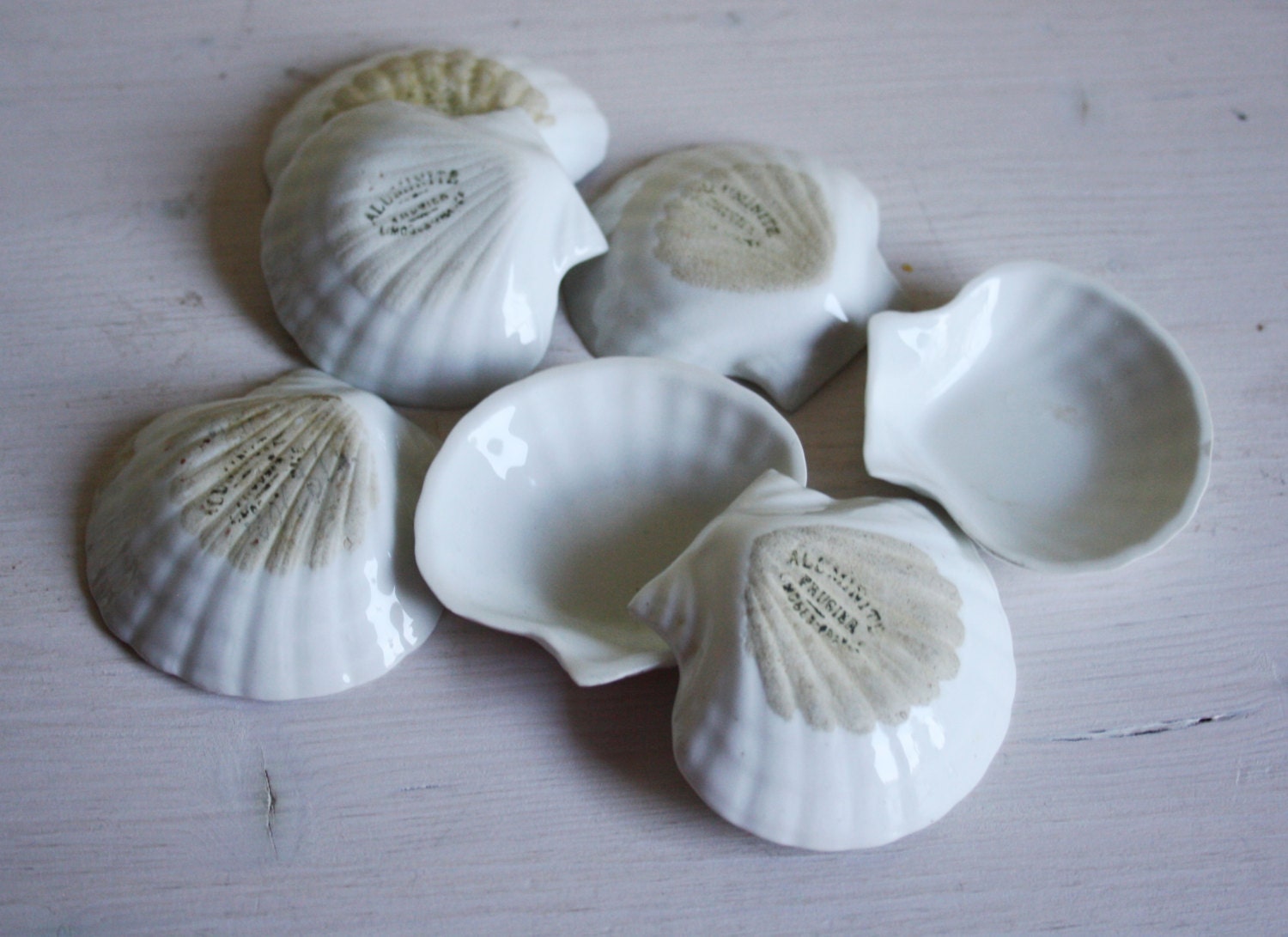 Small Shells of Aluminite Frugier by Limoges (France), perfect small ...
