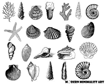 Starfish clip art | Etsy