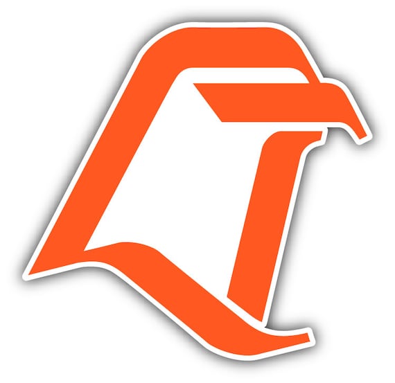 Bowling Green State Falcons NCAA USA Logo College by slonotop