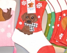 Popular items for pet stocking on Etsy