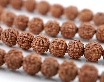 Bodhi tree seeds | Etsy