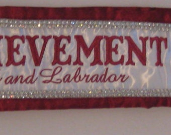 Pageant banner | Etsy