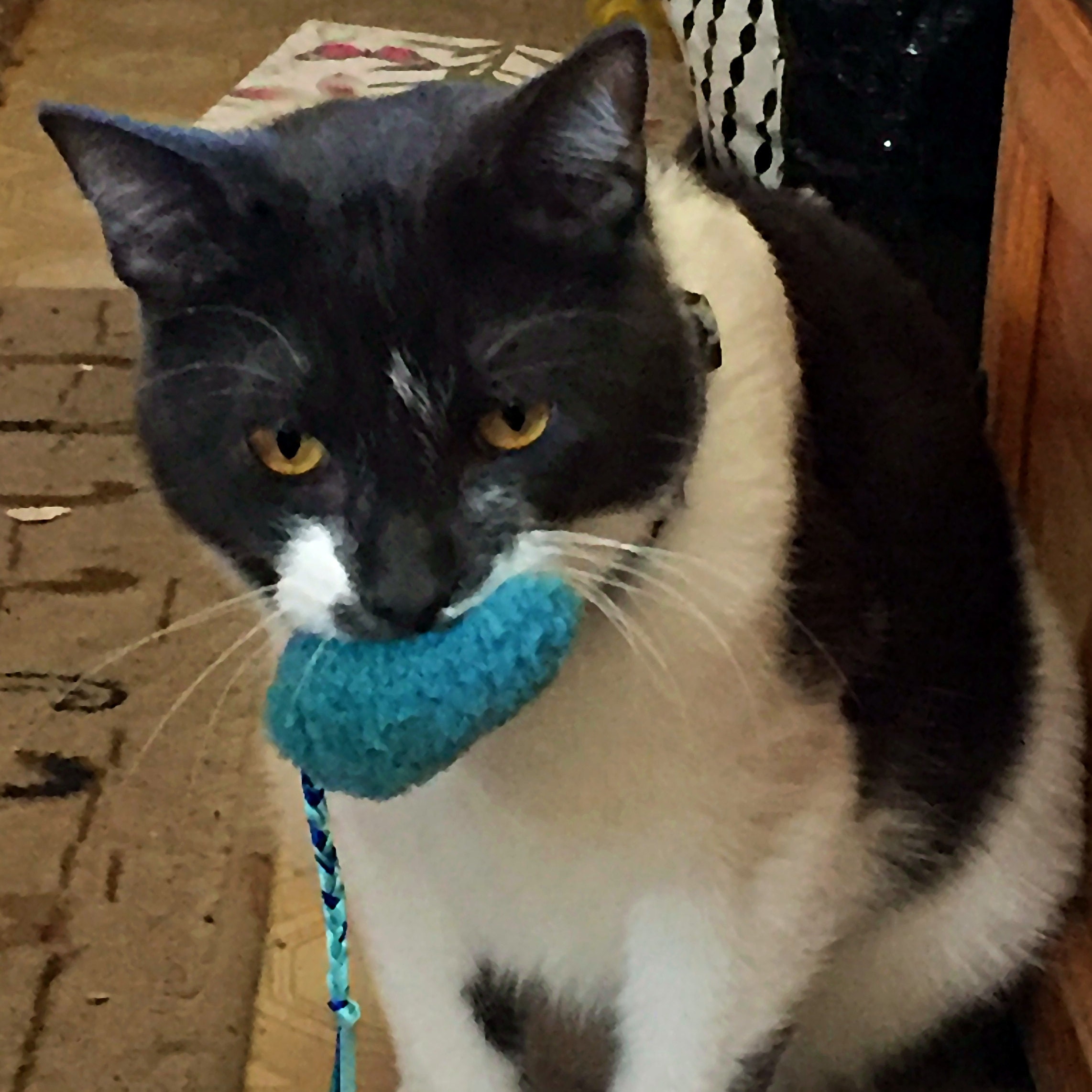 Handmade Cat Toys Cat Collars Gemstone Charms by oddballcattoys