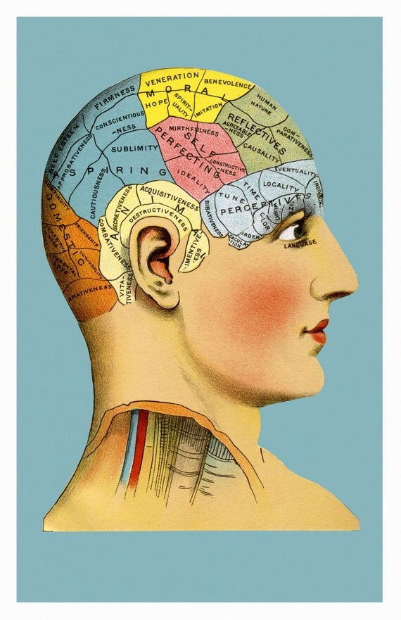 Phrenology Head 11 x 17 inch poster
