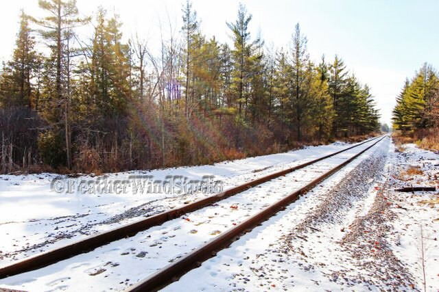 Railroad Photography Winter Train Tracks Through Spruce Pine