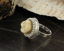 Popular items for human tooth ring on Etsy