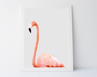Unique flamingo wall art related items | Etsy