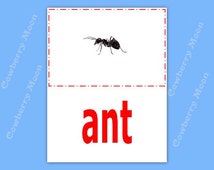 Popular items for printable flashcards on Etsy