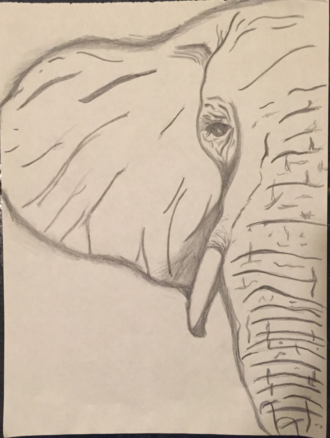 Elephant Eye Pencil sketch by CreativelyMINEbyTori on Etsy