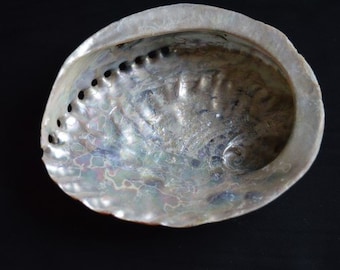 Abalone shell | Etsy