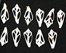 Popular items for sliced shell on Etsy