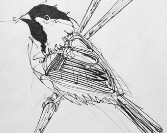 Chickadee drawing | Etsy
