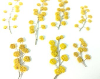 Mini dried flowers | Etsy