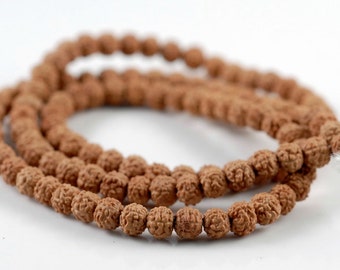 Bodhi tree seeds | Etsy