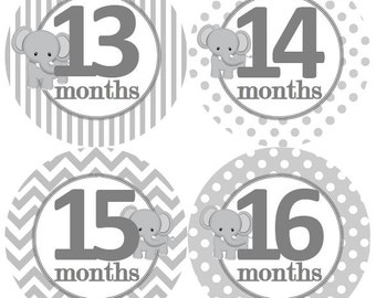 Baby Monthly Milestone Growth Stickers in by GinaMarieOriginals