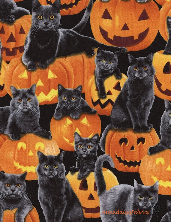 Halloween Cat Fabric Timeless Treasures Cat C2561 Cats on