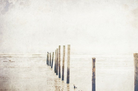 Ocean Wood Posts Beach Wood Pillars Seaside PIer Galveston