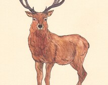 Unique antler drawing related items | Etsy