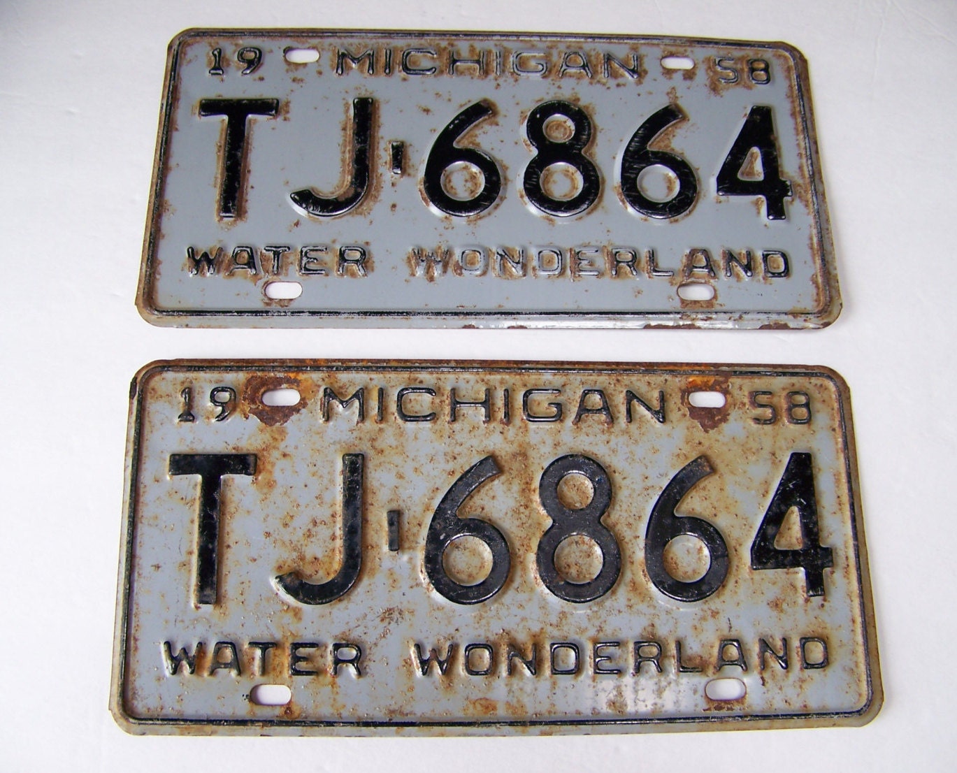 Printable Michigan Temporary Paper License Plate - Printable Word Searches