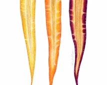 Popular items for rainbow carrots on Etsy