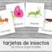 Printable kids insect flashcards spanish