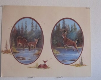 Scafa tornabene art | Etsy