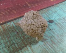 Unique snakeskin agate related items | Etsy