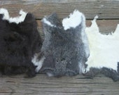 Rabbit fur | Etsy