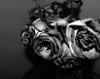 Items similar to Fine Art Photograph, Rose Photo, Dead Roses, Dried ...